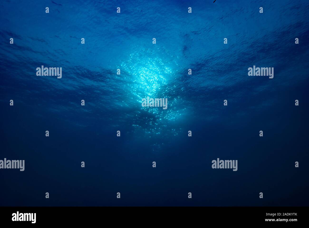 Sea surface from below, underwater Stock Photo - Alamy