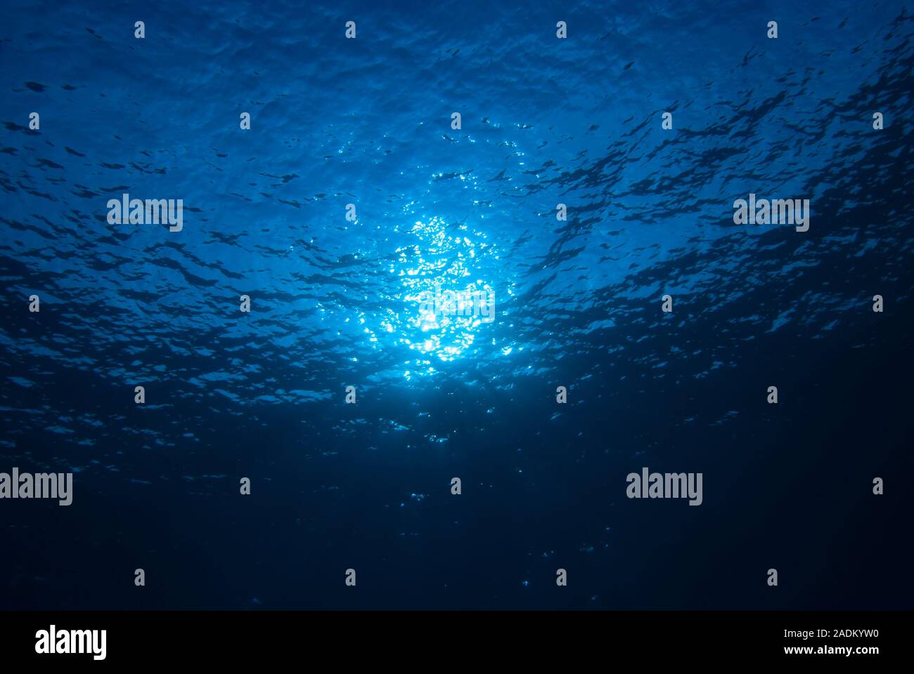 Sea surface from below, underwater Stock Photo - Alamy