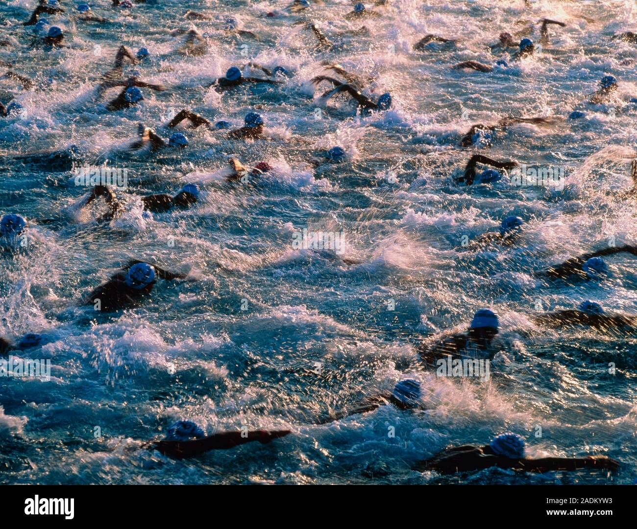 Triathlon swimmers. Men swimming in the Pacific Ocean during the Kona ...
