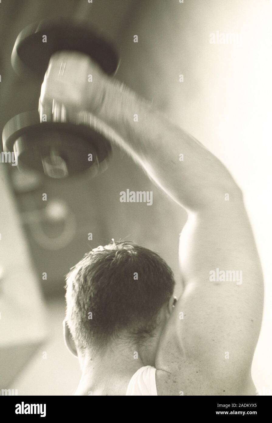 Weight training. Man using dumb-bell weights in a gymnasium Stock Photo ...