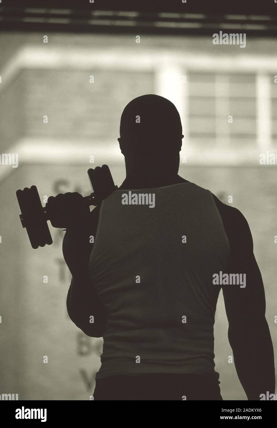 Weight training. Man using dumb-bell weights in a gymnasium Stock Photo ...