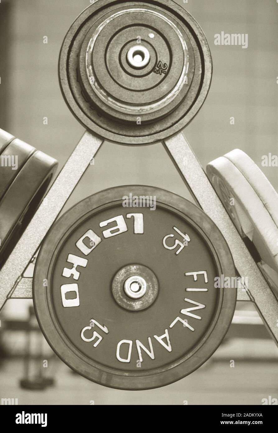 Weight. Rack of dumb-bell weights in a gymnasium Stock Photo - Alamy