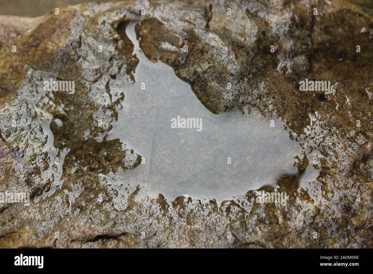 wet puddle in stone interlocking after rain Stock Photo - Alamy