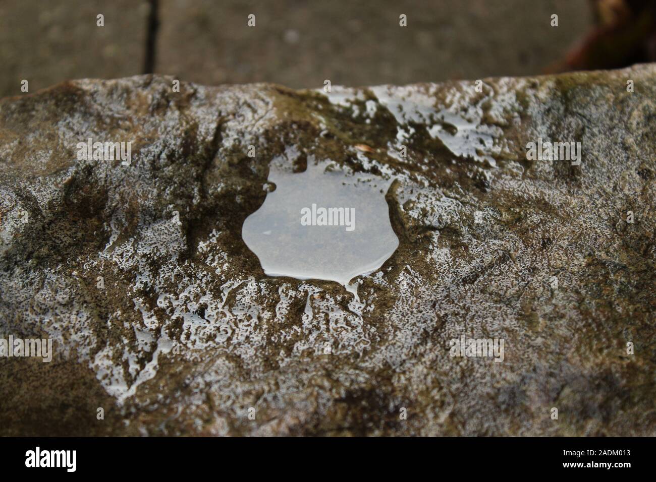 wet puddle in stone interlocking after rain Stock Photo - Alamy