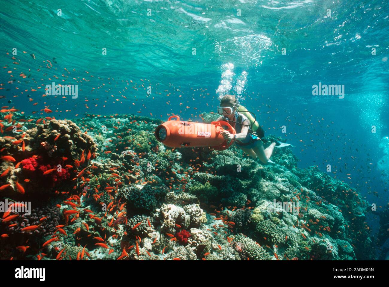 Scuba diver using a Diver Propulsion Vehicle (DPV). The DPV is battery ...