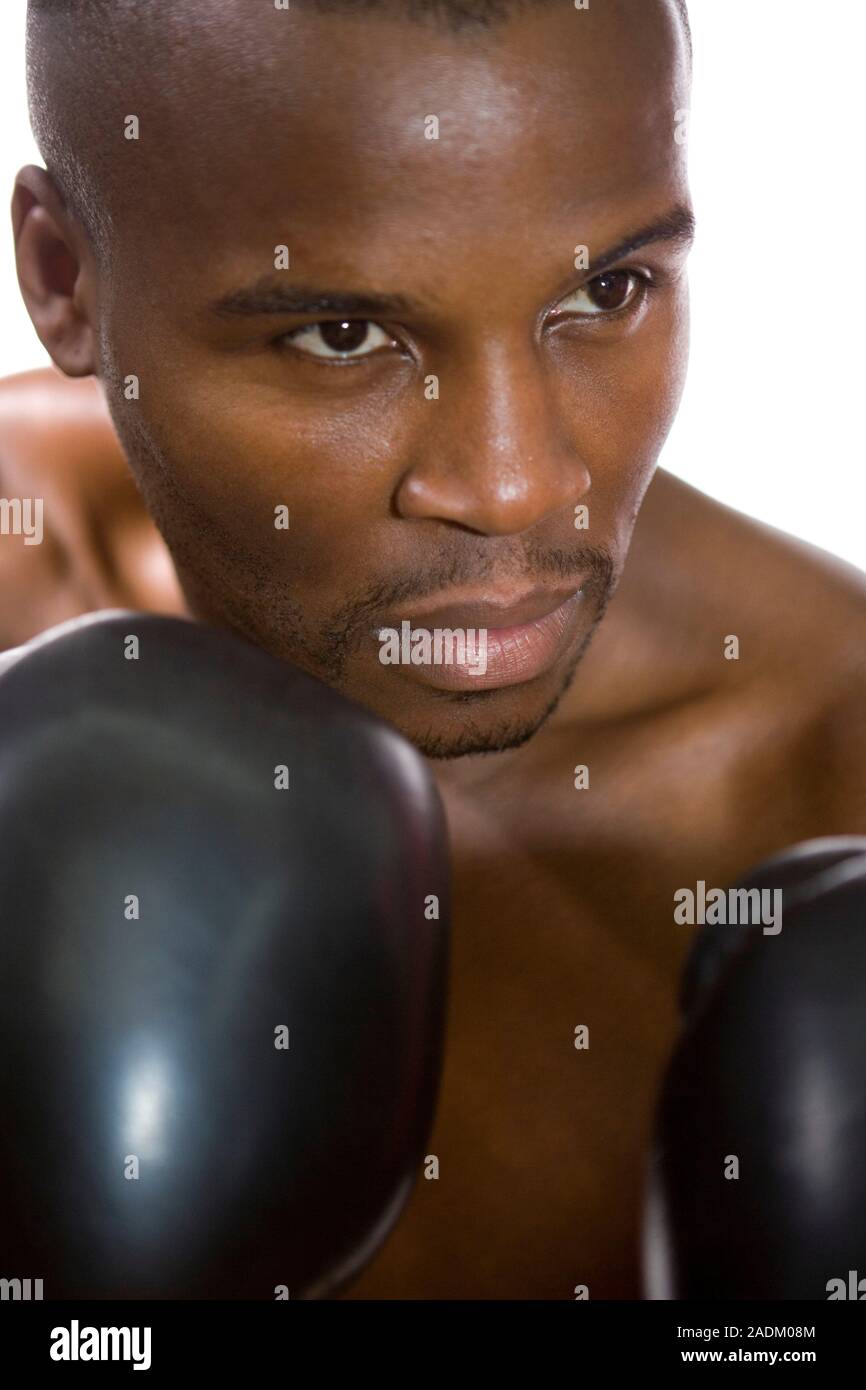 MODEL RELEASED. Boxer training. Boxing is a combat sport where two ...