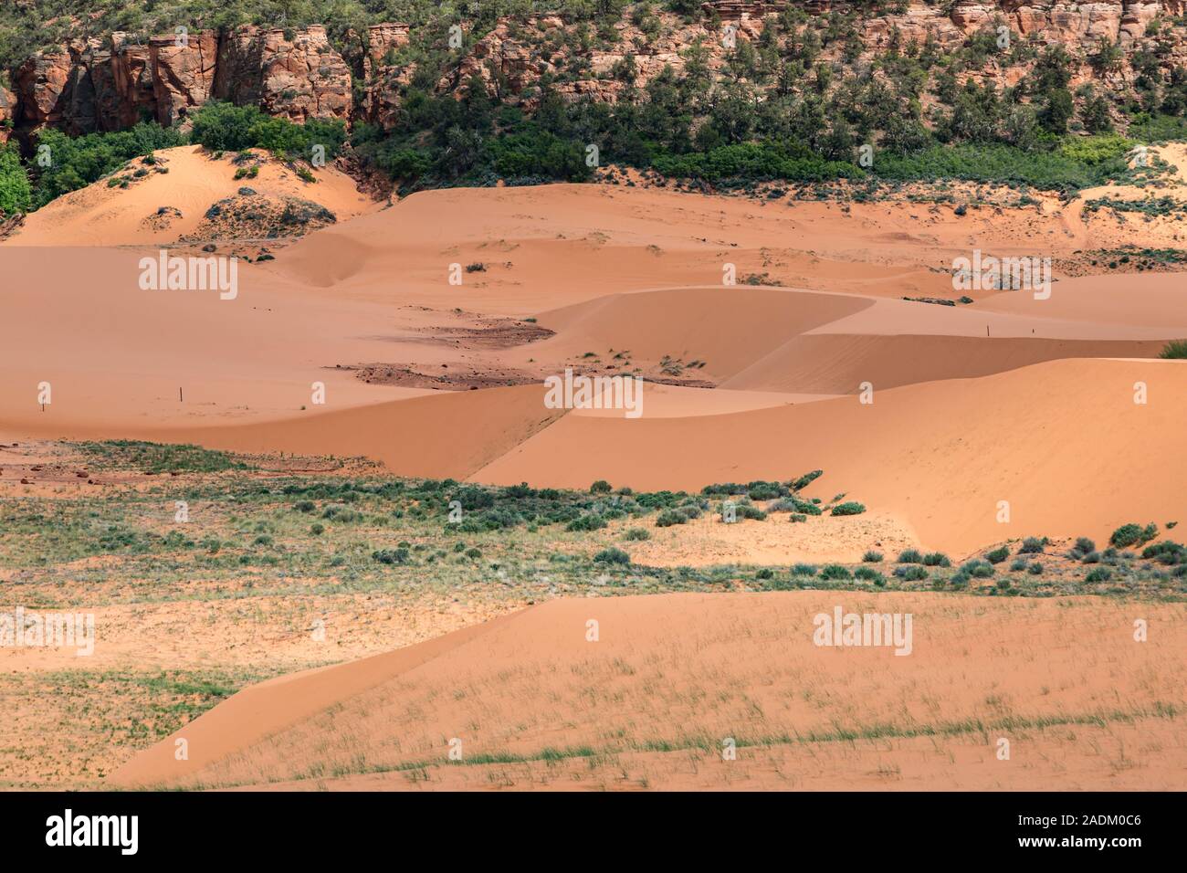 Coral Pink Sand Dunes State Park near Kanab, Utah Stock Photo - Alamy