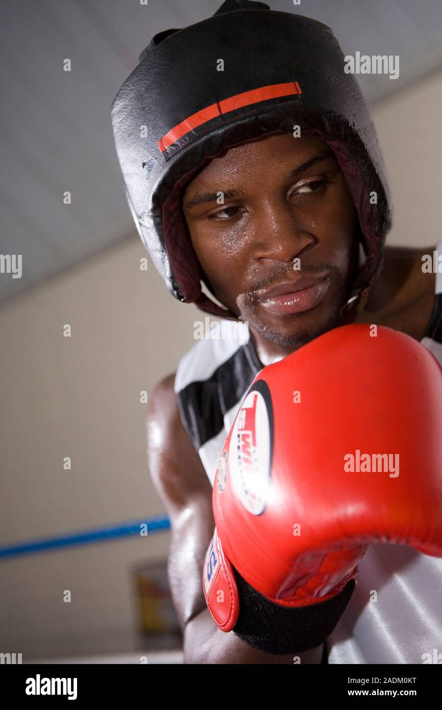 MODEL RELEASED. Boxer sweating with exertion Stock Photo - Alamy