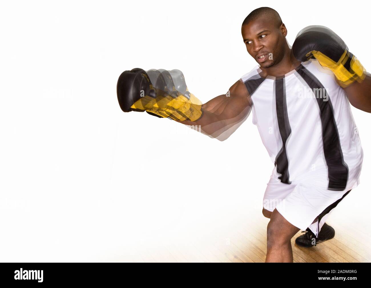 MODEL RELEASED. Boxer punching. Composite high- speed photograph of a ...