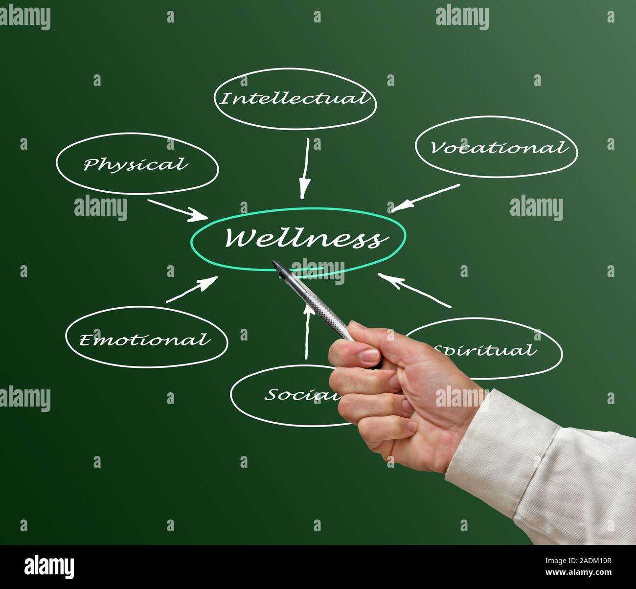 Diagram of wellness Stock Photo - Alamy