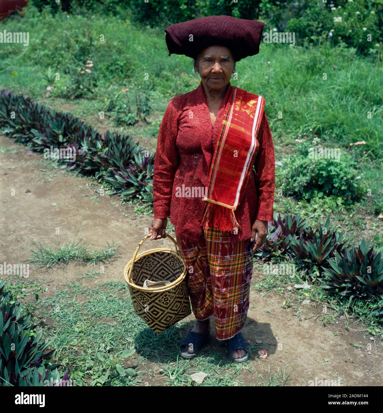 Traditional Sumatran cloth. Woman wearing Karo-Batak textiles. The ...
