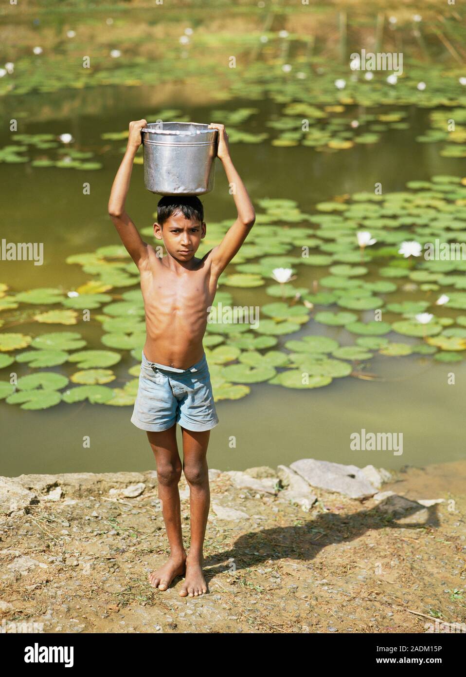 Carrying water. Young boy carrying a bucket of drinking water on his ...