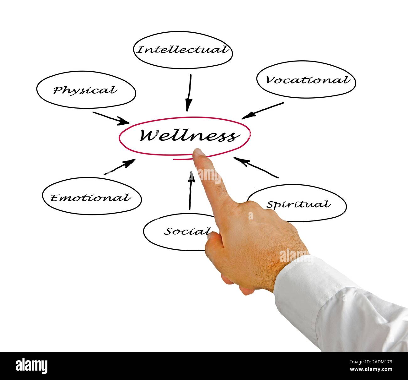 Diagram of wellness Stock Photo - Alamy