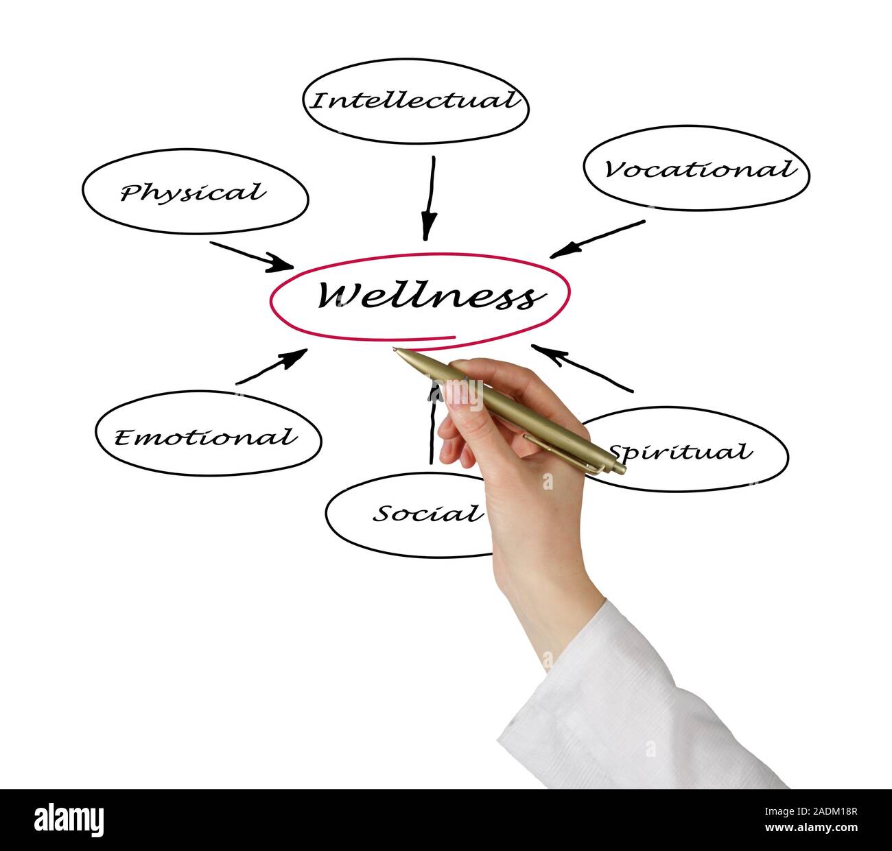 Diagram of wellness Stock Photo - Alamy