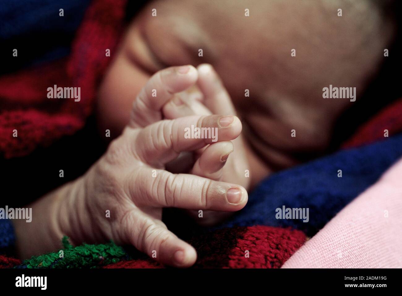 Ugandan baby sleeping. Photographed in the Gulu region of Uganda Stock ...