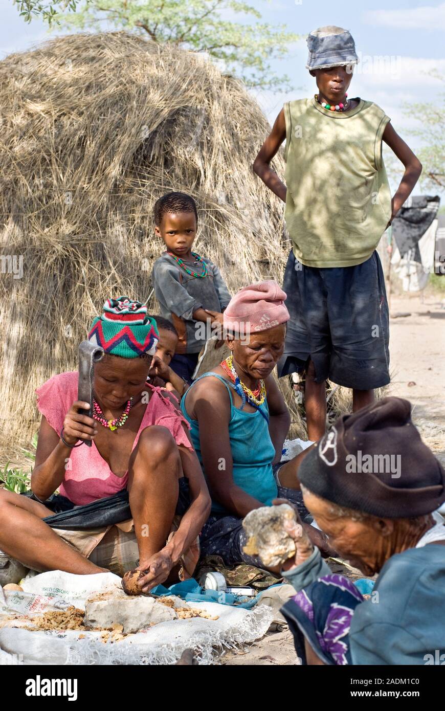 Bushman family breaking open fruit outside their hut in a village near ...