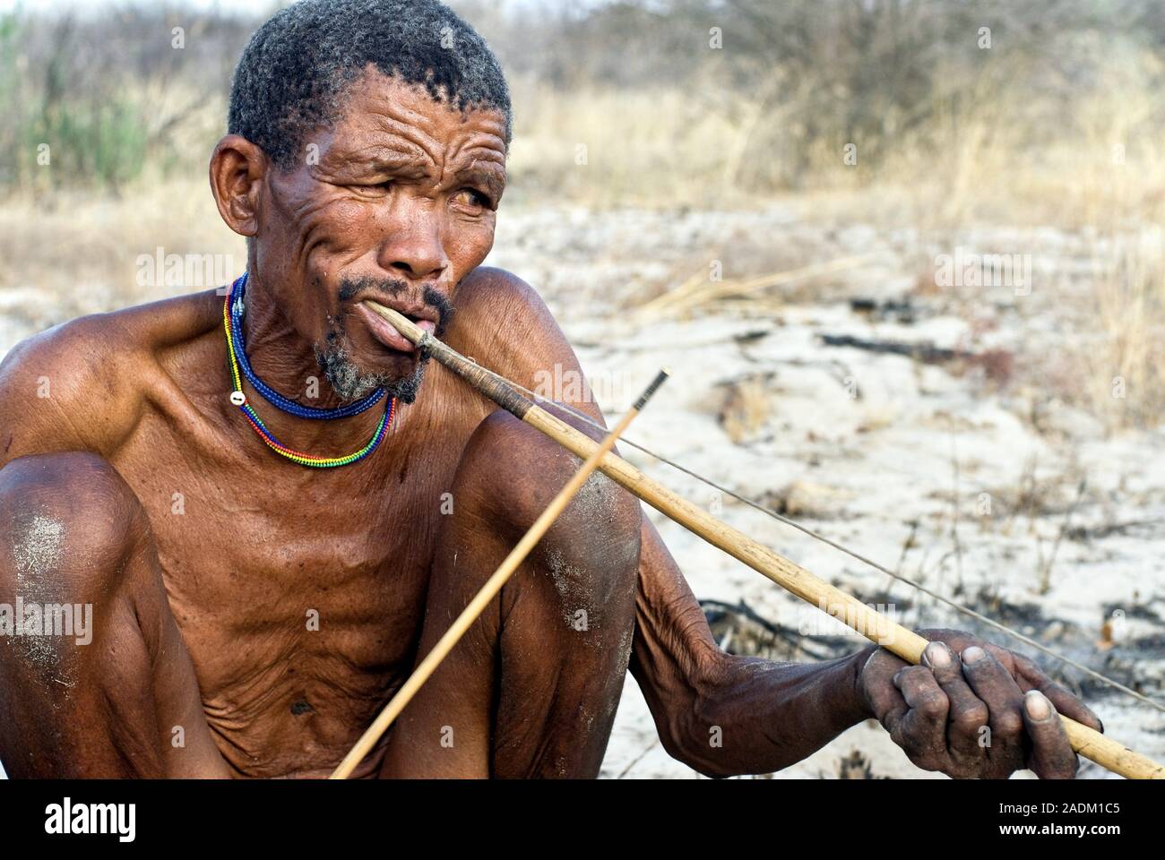 Bushman playing a traditional musical instrument resembling a bow and ...