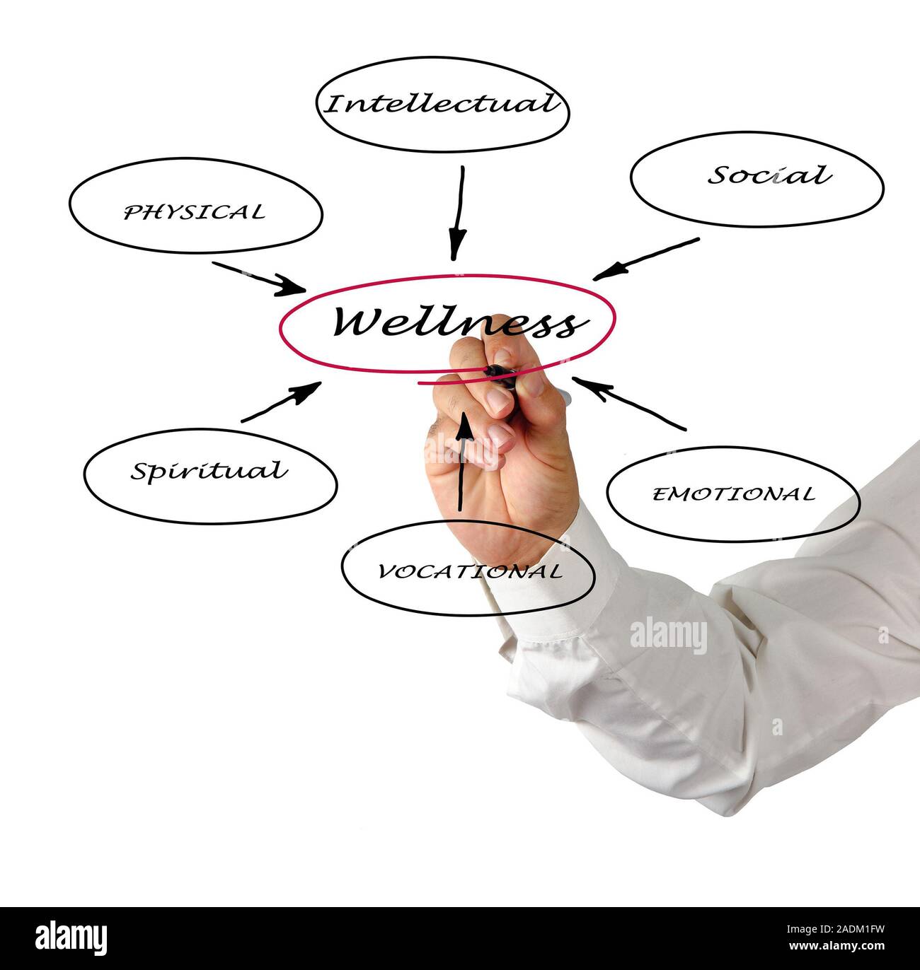 Diagram of wellness Stock Photo - Alamy