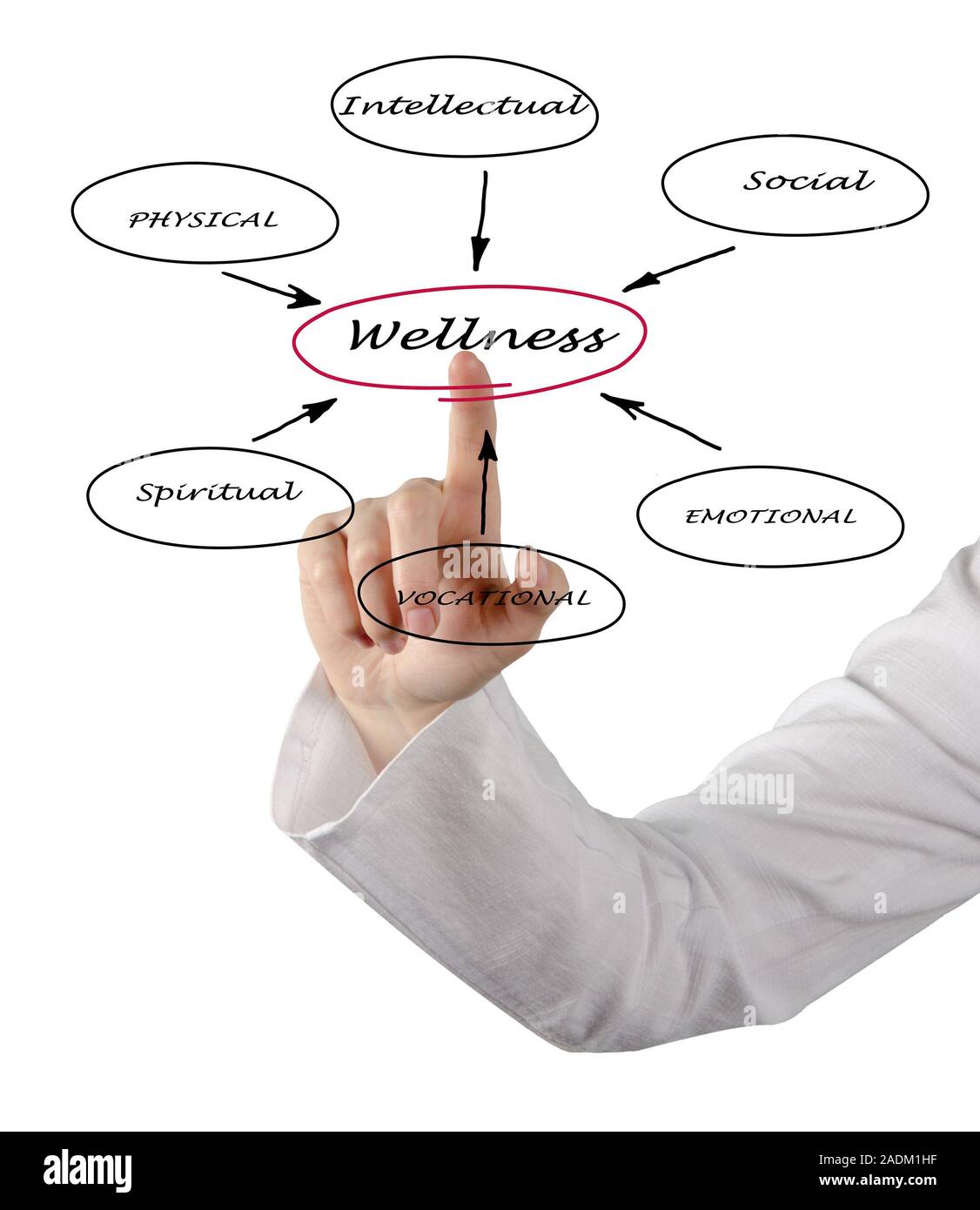 Diagram of wellness Stock Photo - Alamy