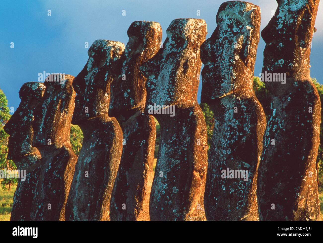 Easter Island statues. Row of megalithic moai statues on Easter Island ...