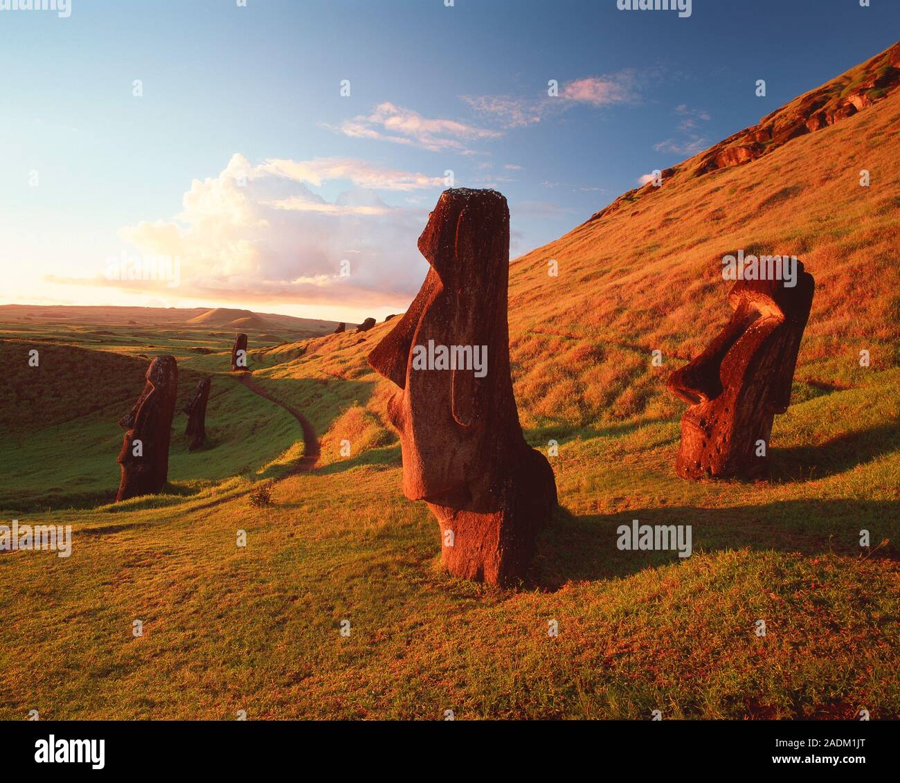 Easter Island statues. Half-buried moai statues on Easter Island (Rapa ...