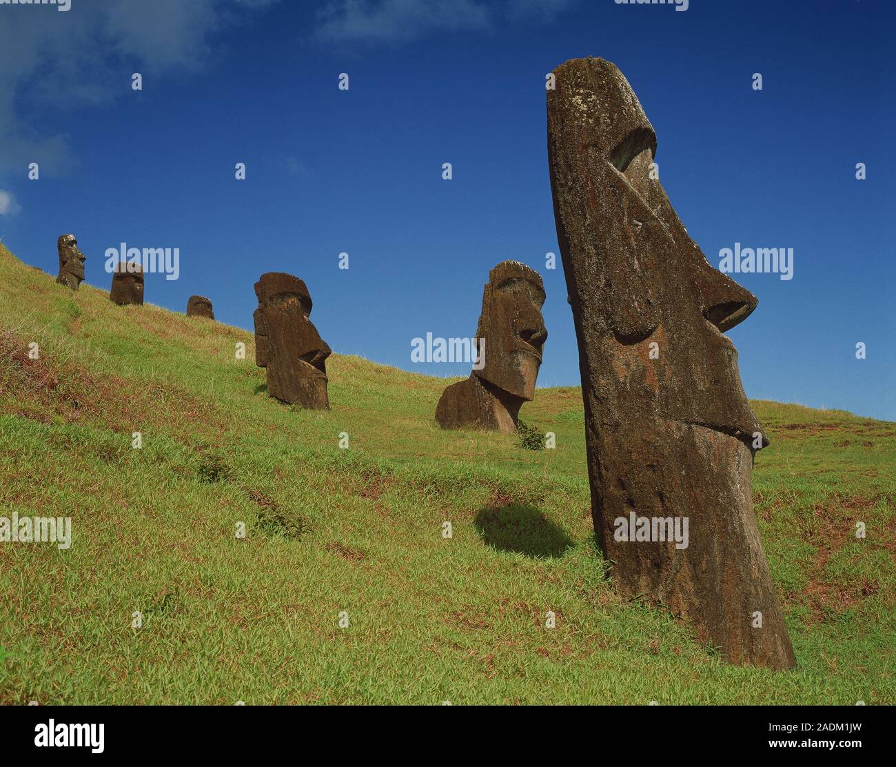Easter Island statues. Half-buried moai statues on Easter Island (Rapa ...