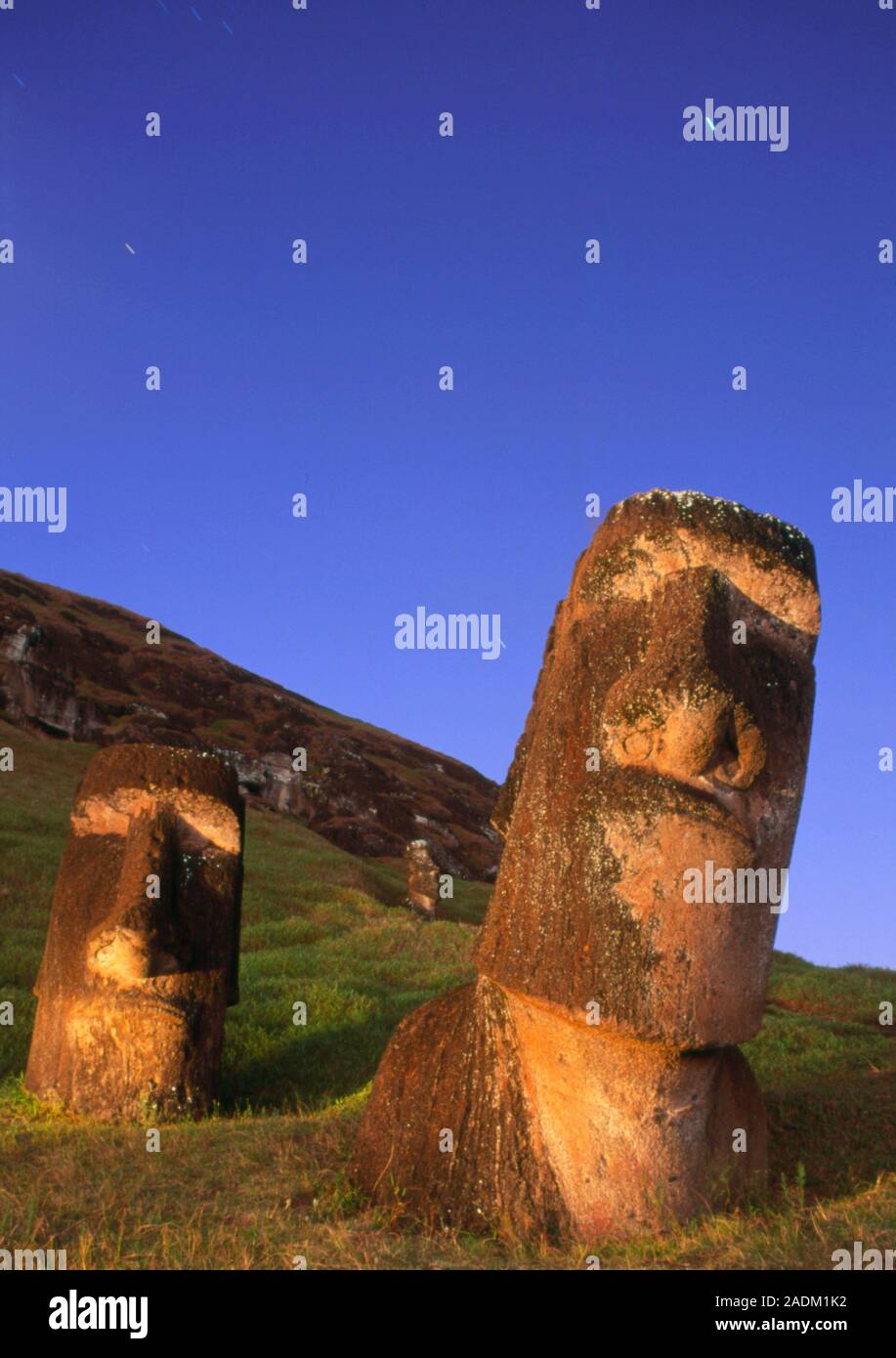 Easter Island statues. Half-buried moai statues at Rano Raraku on ...