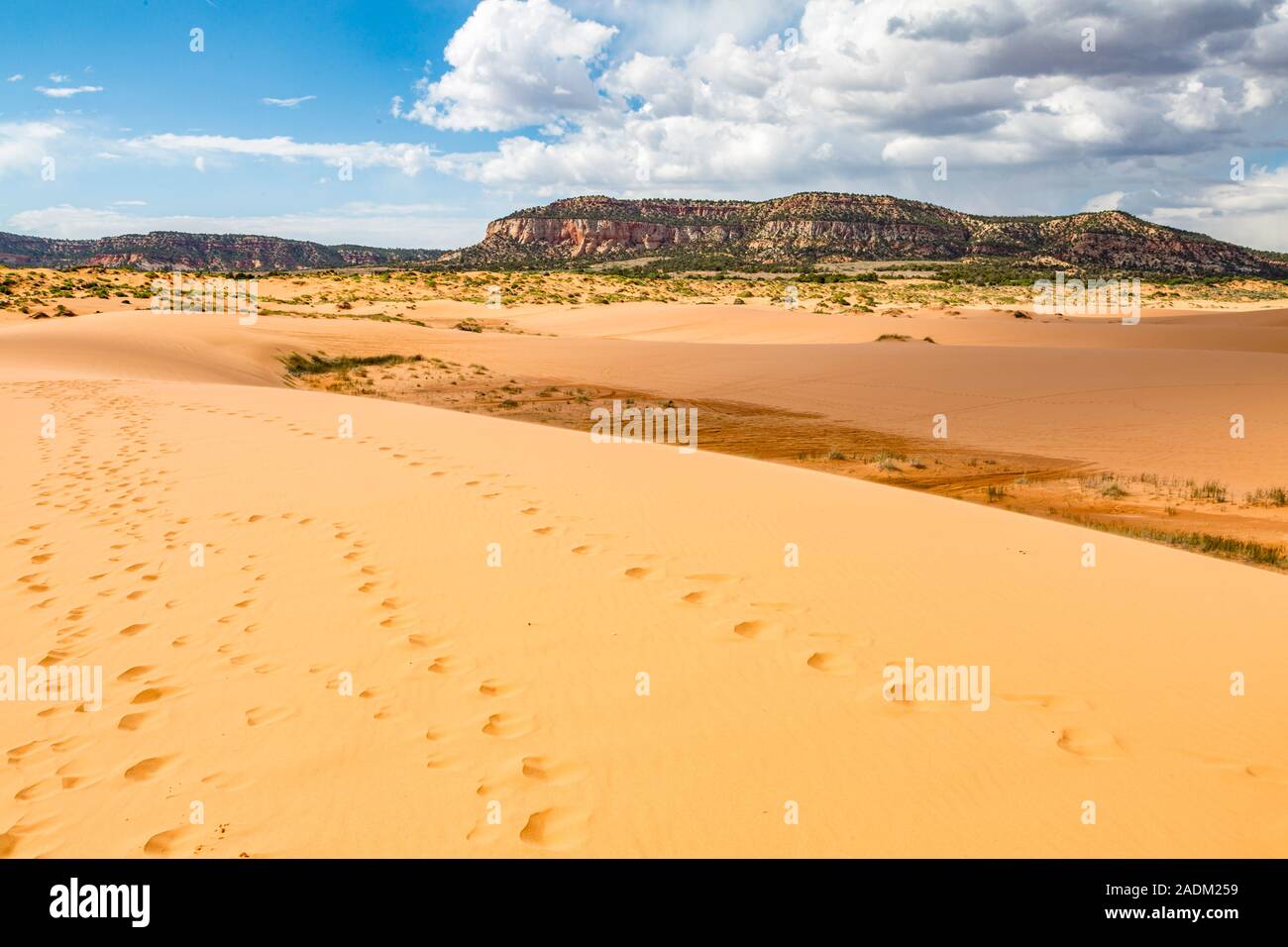 Coral Pink Sand Dunes State Park near Kanab, Utah Stock Photo - Alamy