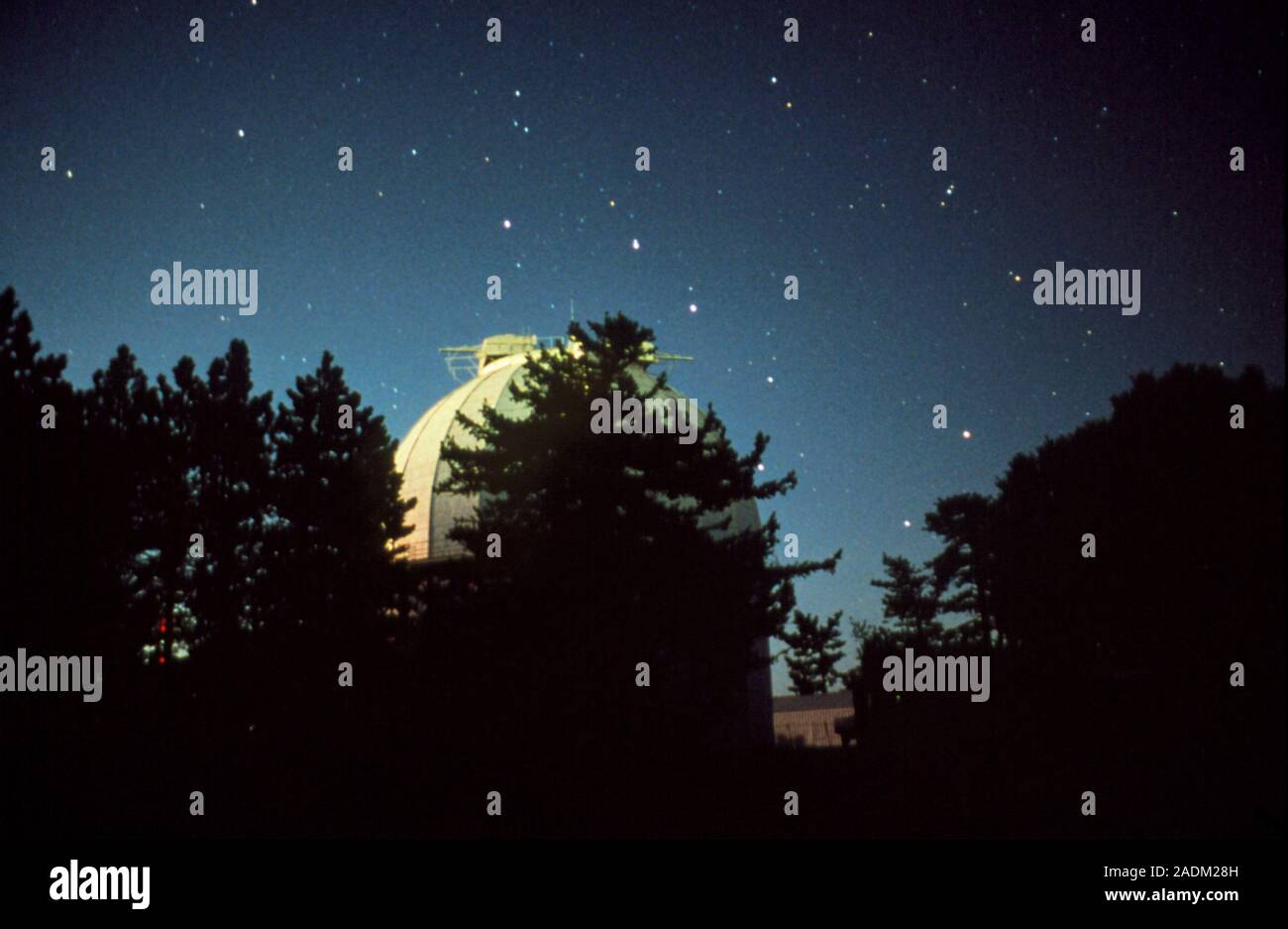 100-inch telescope dome obscured behind trees at night at the Mount ...