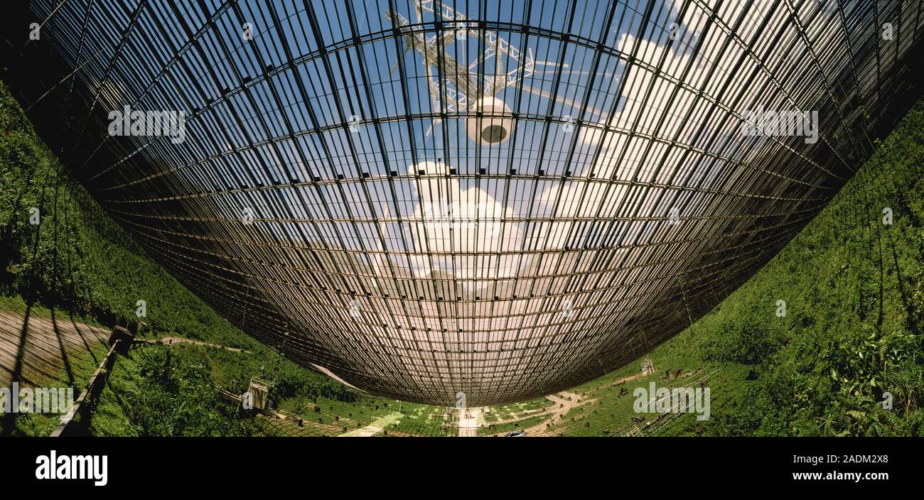 Arecibo radio observatory. View of the underside of the dish antenna of ...