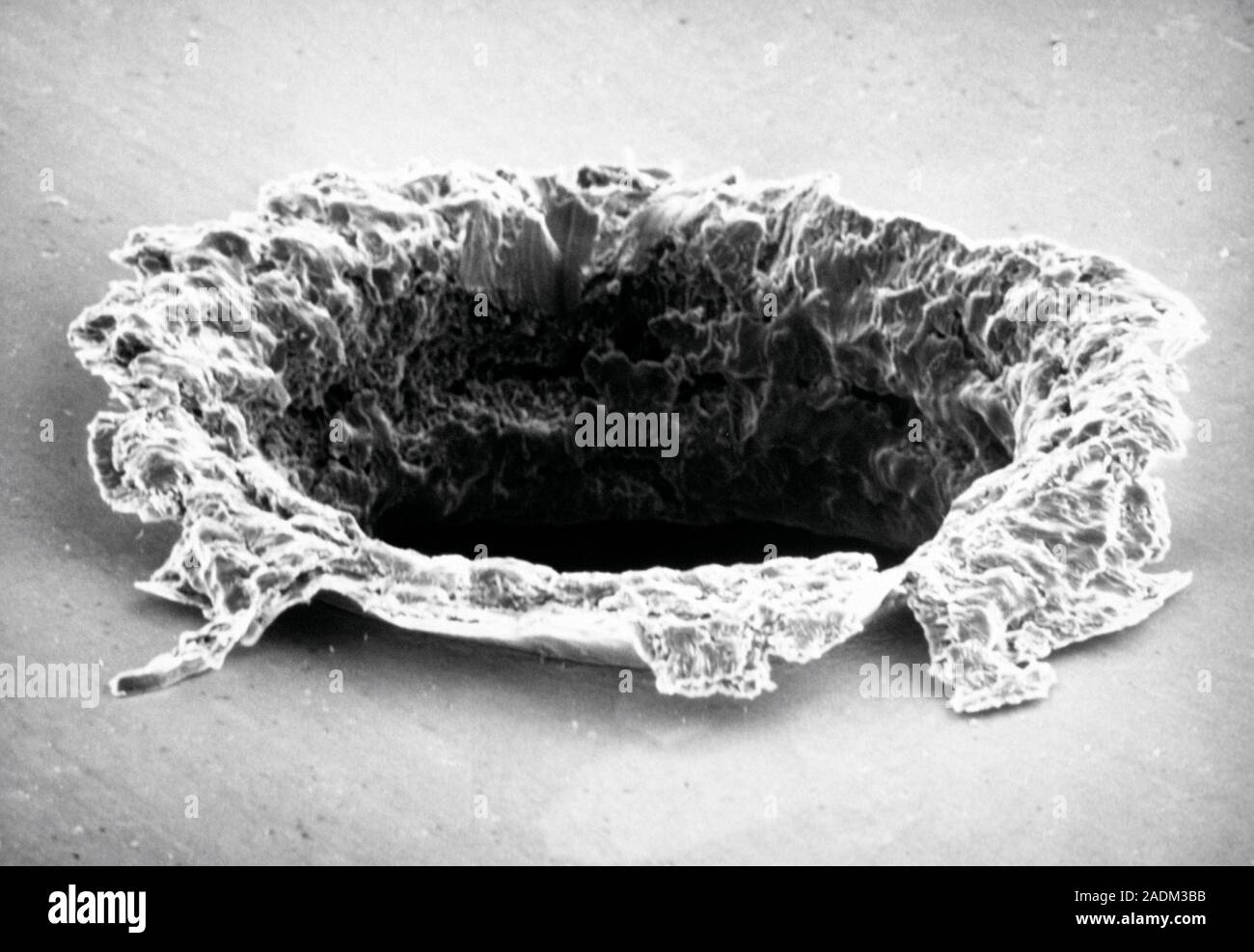 Scanning Electron Micrograph (SEM) of an impact crater in a thermal ...