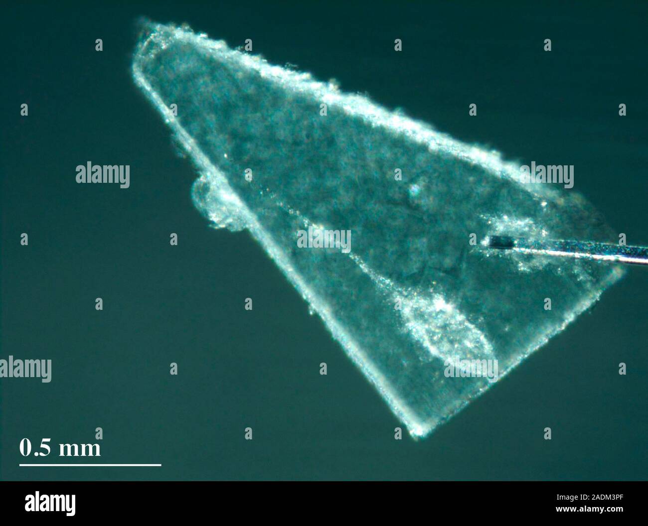 Stardust aerogel with comet dust impact. Light micrograph of a section ...