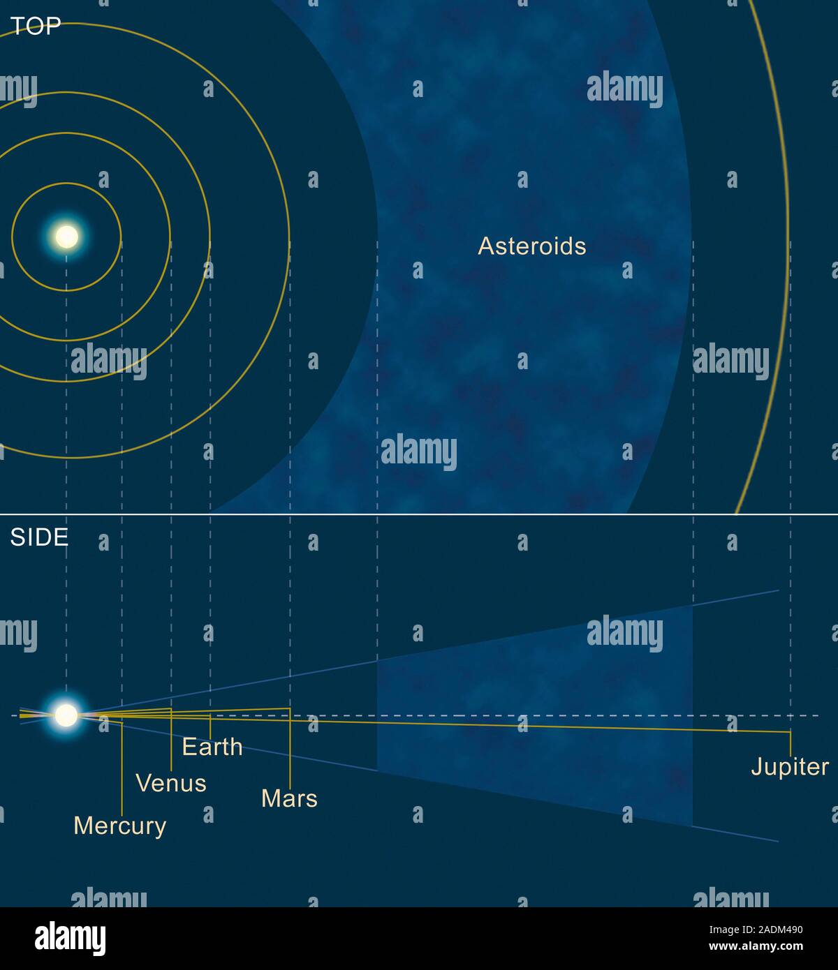 Inner Solar System. Diagram showing the Asteroid Belt and the orbits of ...
