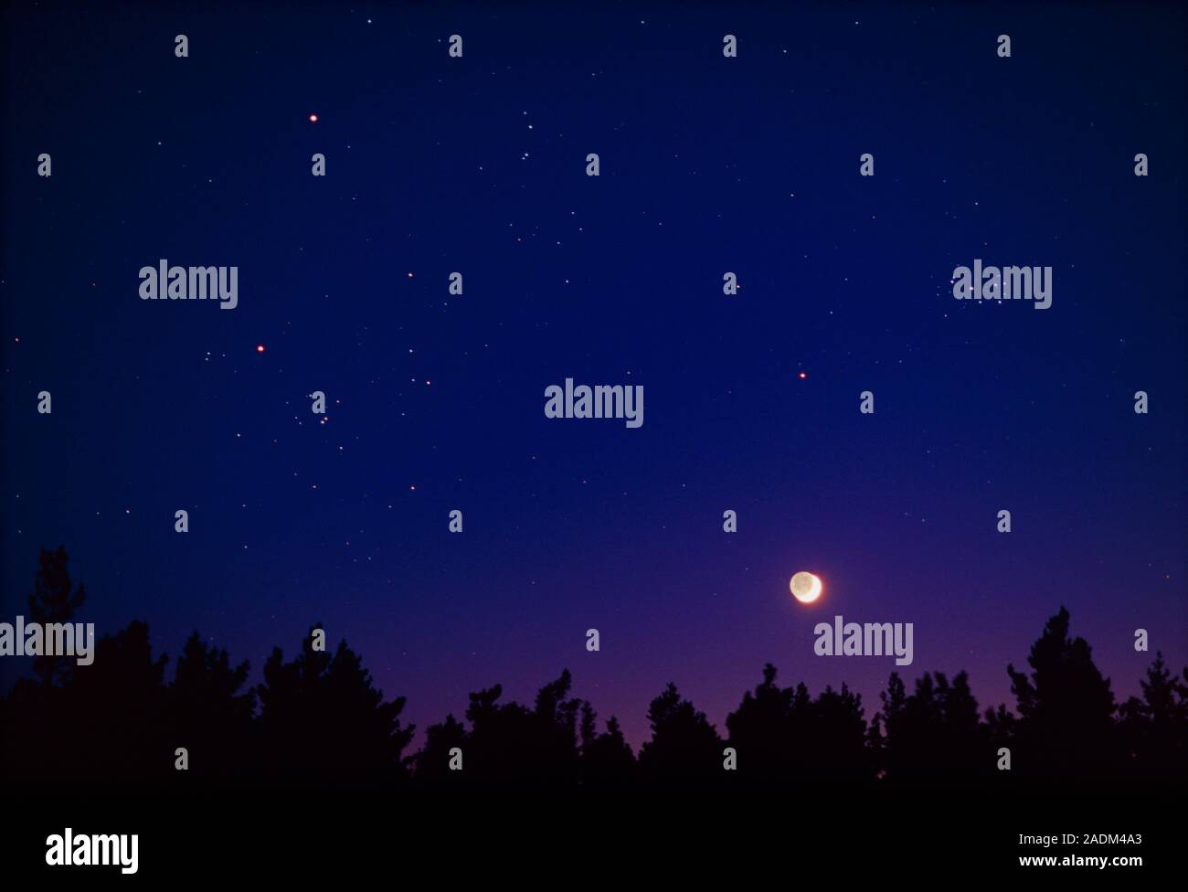 Planetary conjunction. Crescent Moon and the planets in the evening sky ...