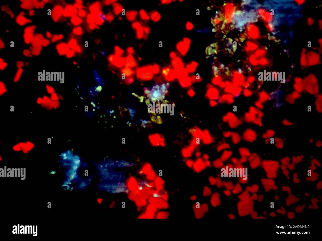 Complex texture of white inclusion of Allende meteorite with colours ...