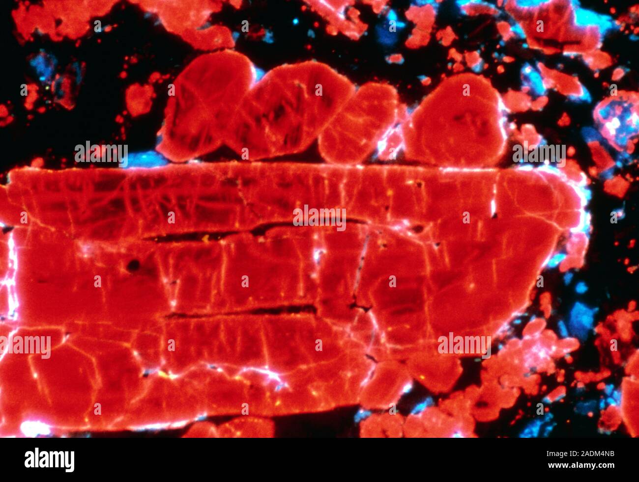 Cathodoluminescence light micrograph of a section of a meteorite ...