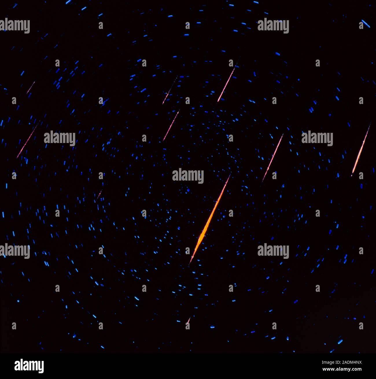 False-colour photograph of a Leonid meteor shower. Meteor showers, also ...