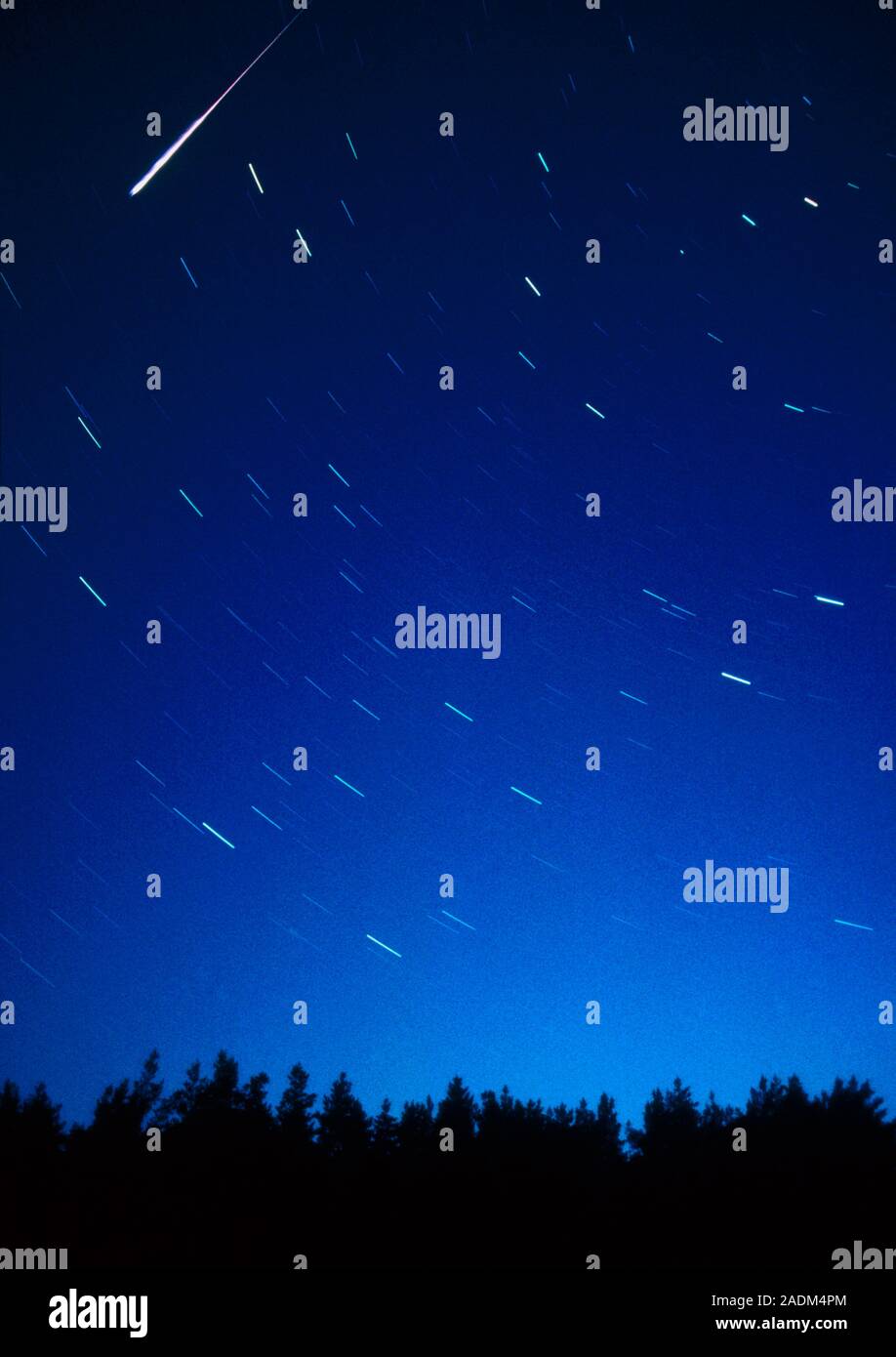 Meteor track. Nocturnal time-exposure image over trees of a meteor ...