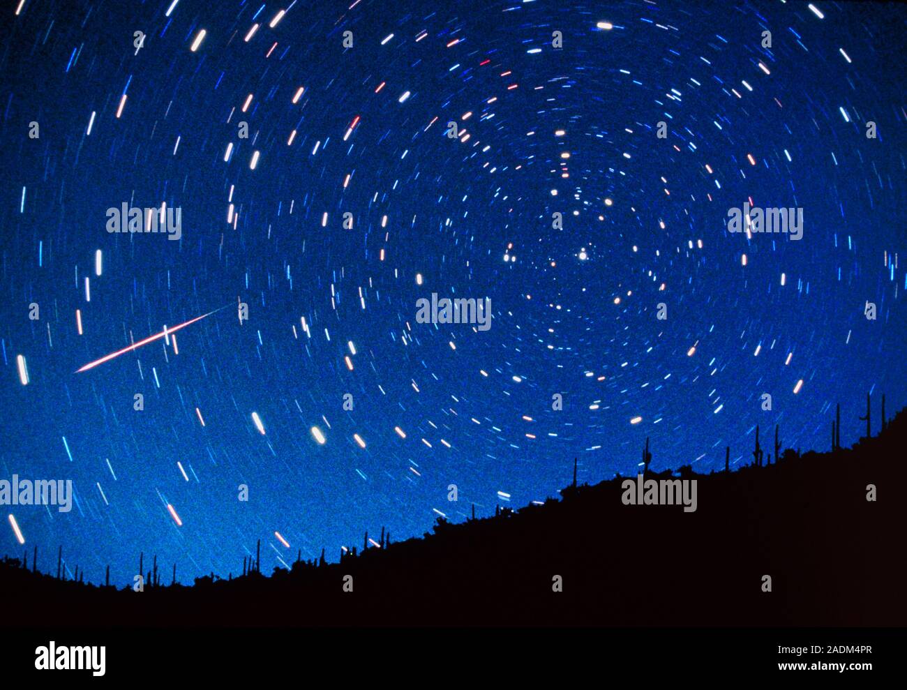 Perseid meteor track. Time-exposure image over trees of a perseid ...