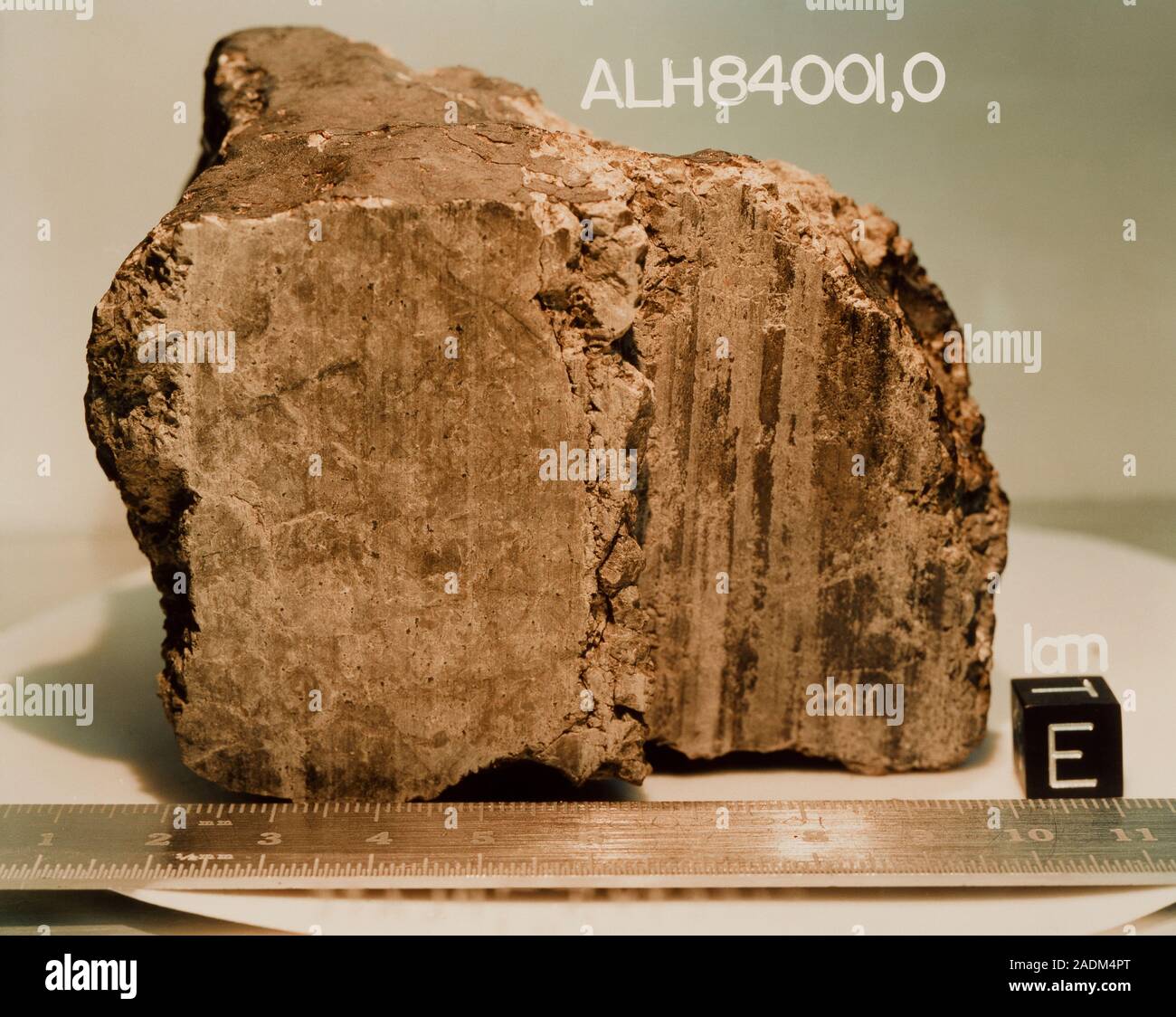 Mars meteorite. Meteorite ALH84001 which is believed to contain fossil ...