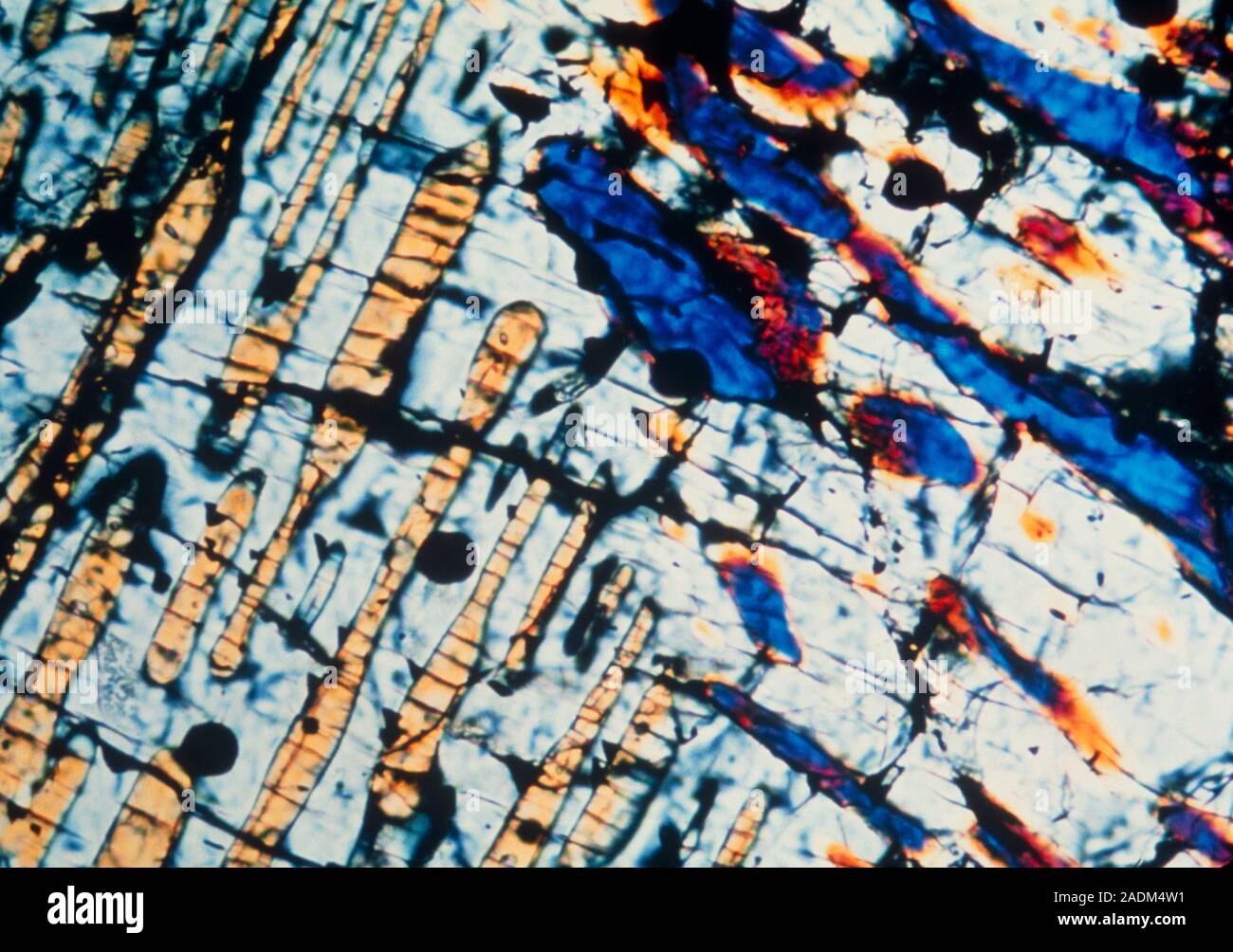 Meteorite Section Polarised Light Micrograph Of A Section Through A Chondrule From A Stony