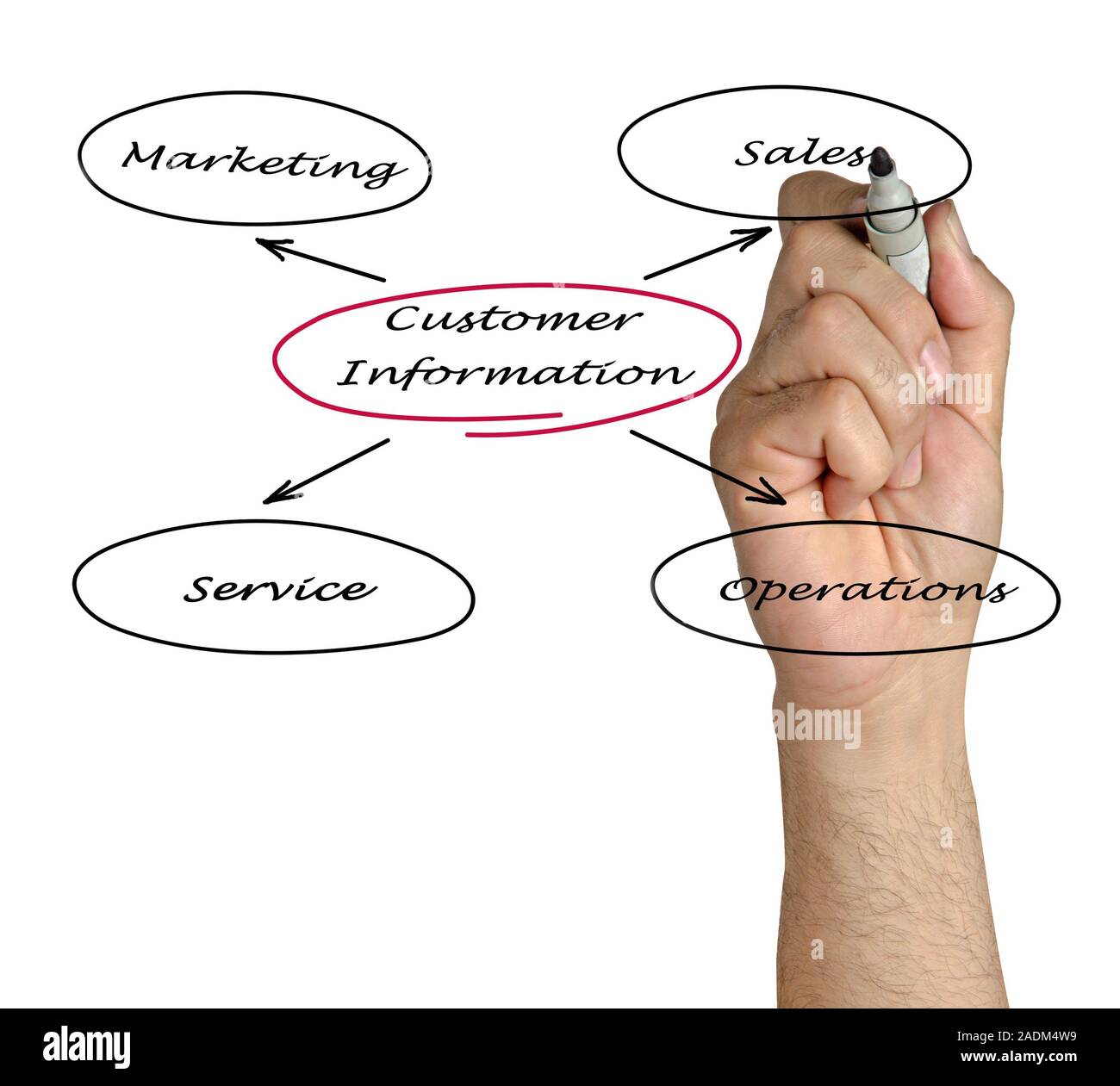 Diagram of customer information Stock Photo - Alamy