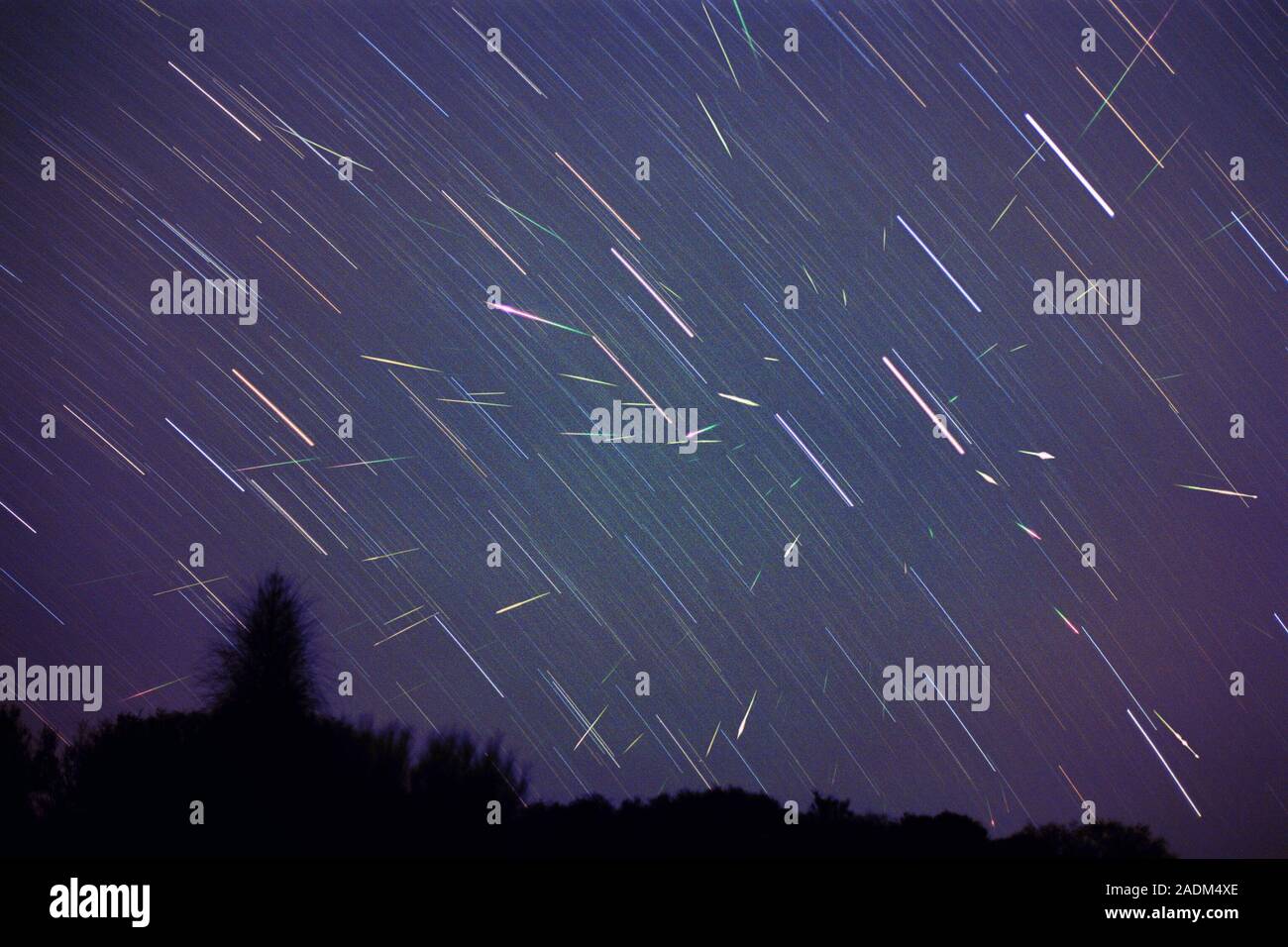 Leonid meteors. Optical time-exposure image of Leonid meteors (streaks ...