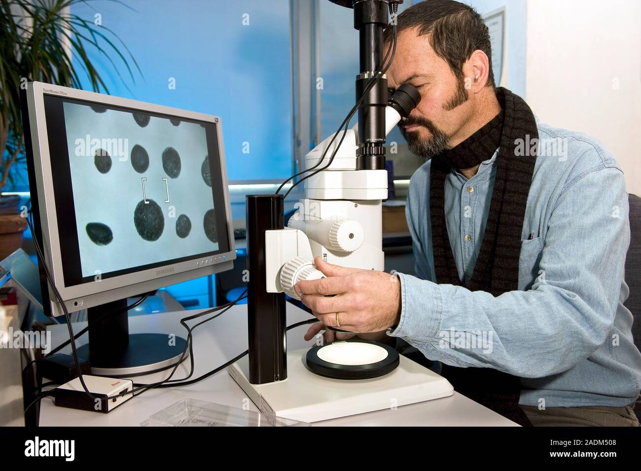 Micrometeorite researcher examining samples (on screen) using a light ...