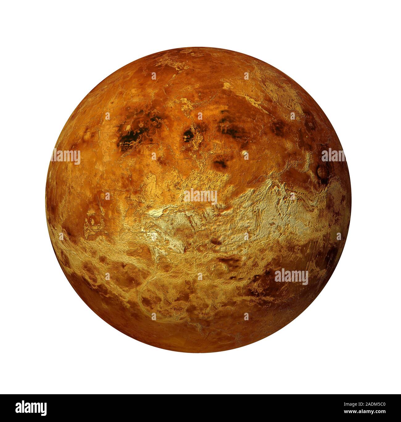 Venus, computer artwork. This is the second planet from the Sun ...