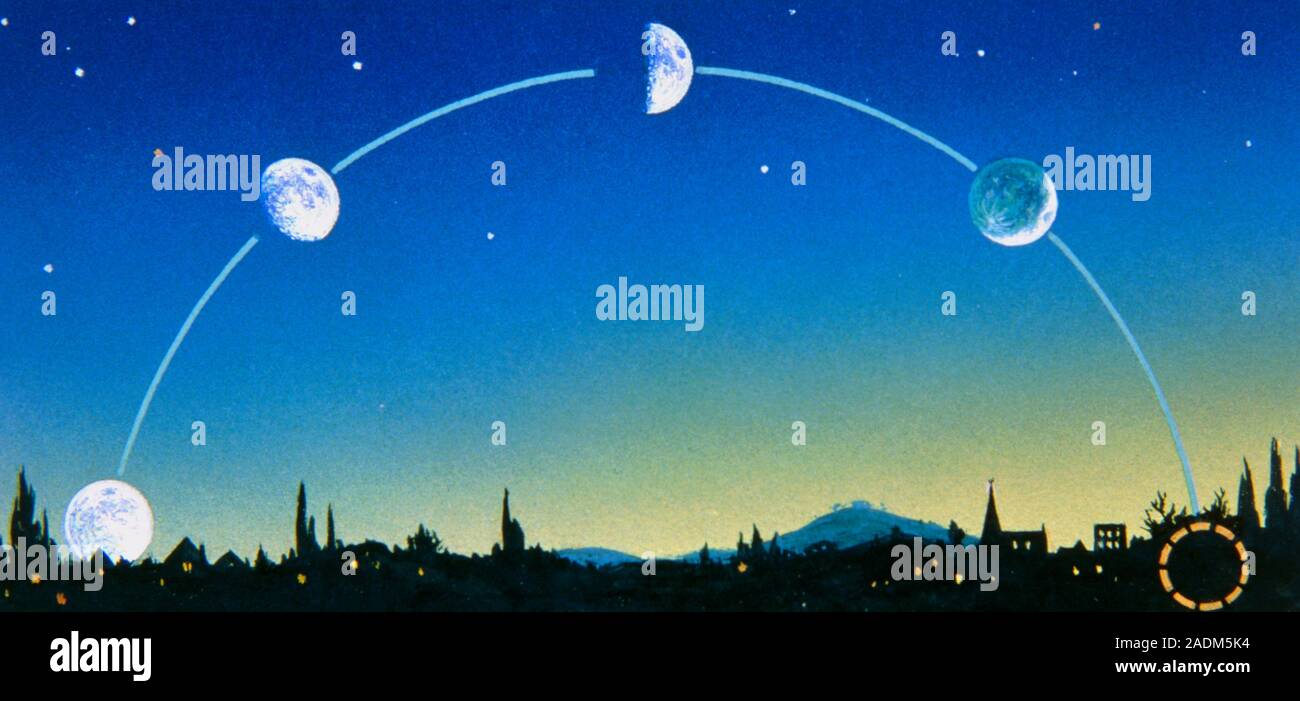 Moon phases. Artwork showing some of the phases of the Moon as seen ...
