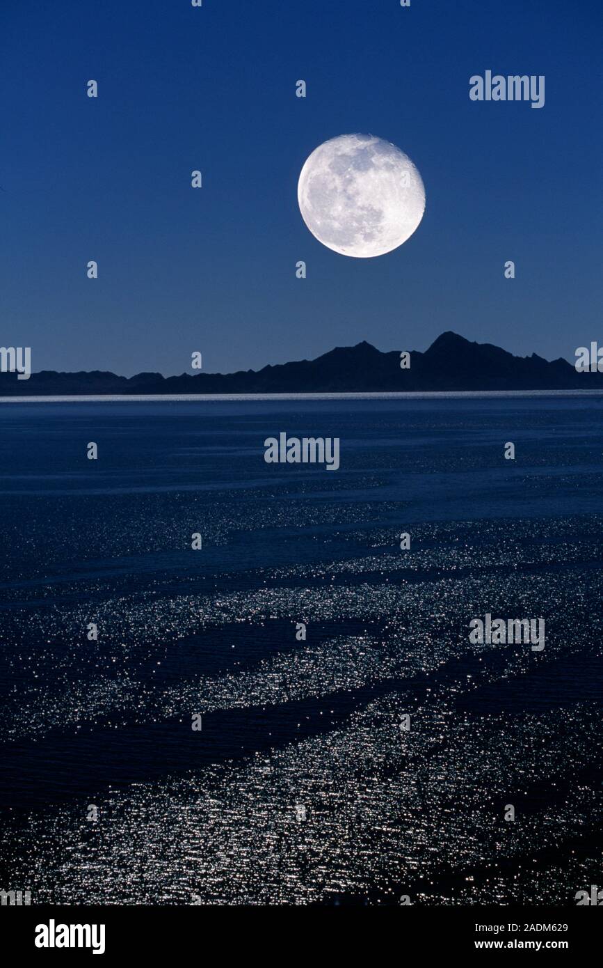 Moonrise. Full Moon rising over the Sea of Cortez. Photographed at Baja ...