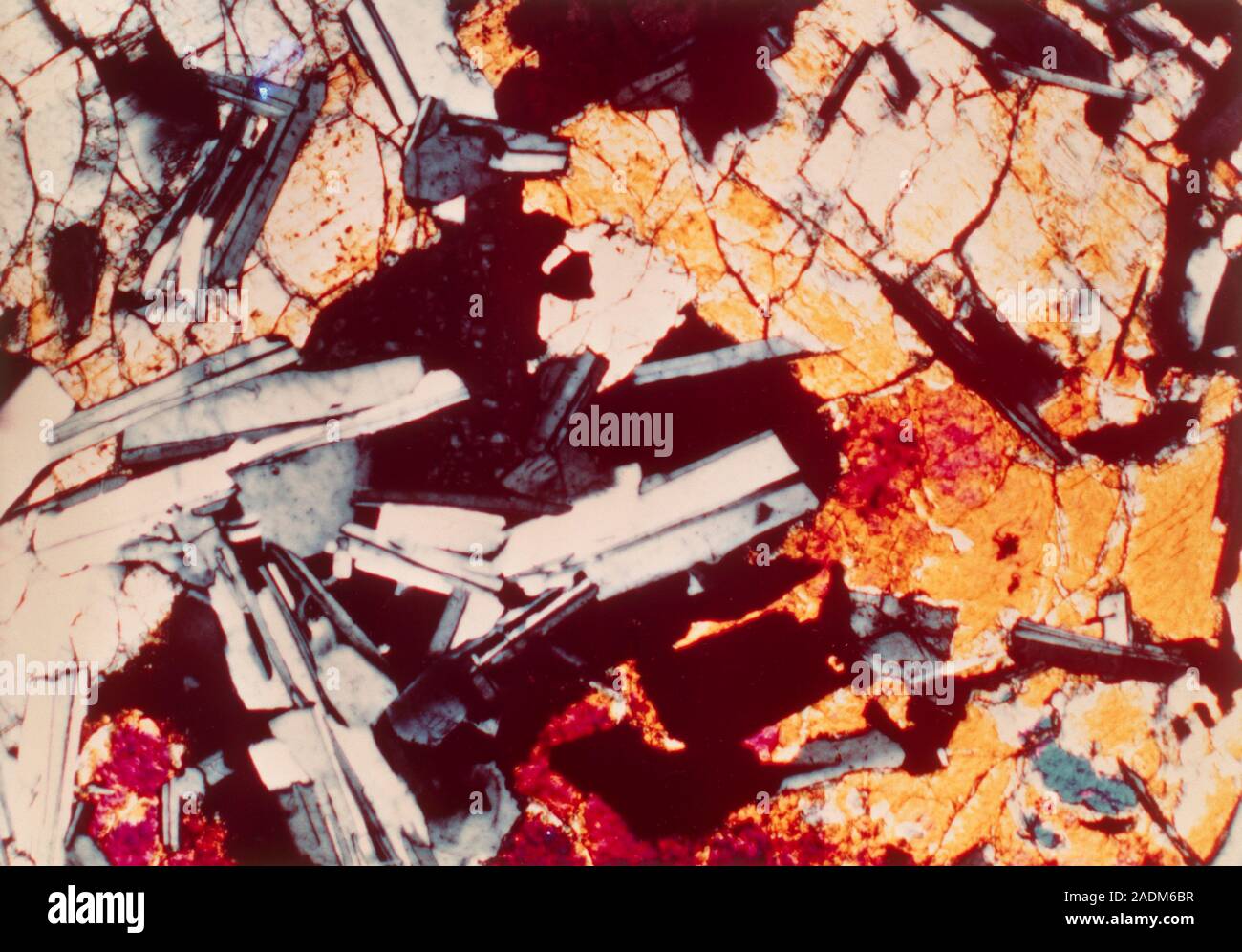 Photomicrograph showing a thin section of crystalline igneous rocks ...