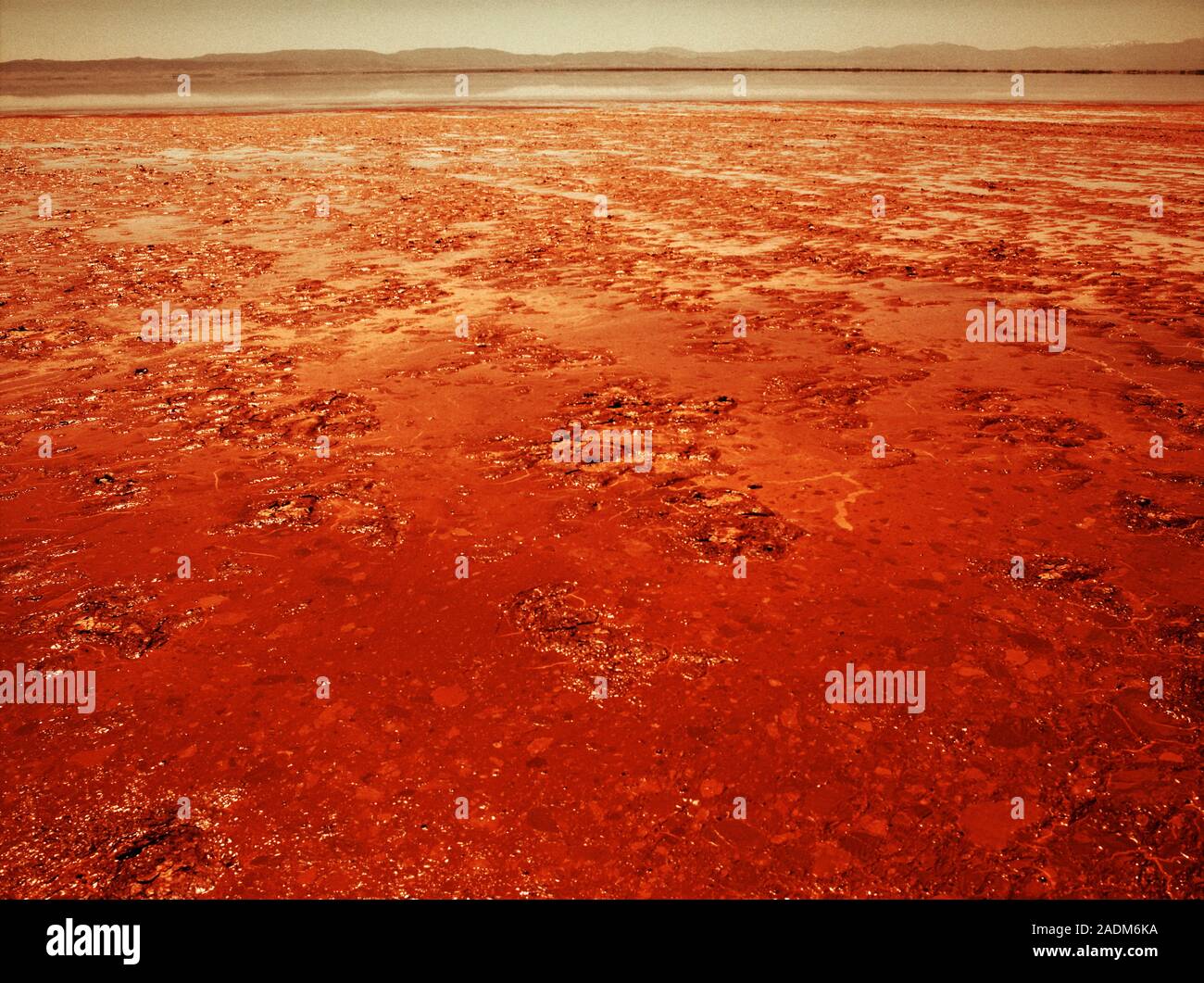 Mud on Mars. Artwork of the surface of Mars covered in water and mud ...