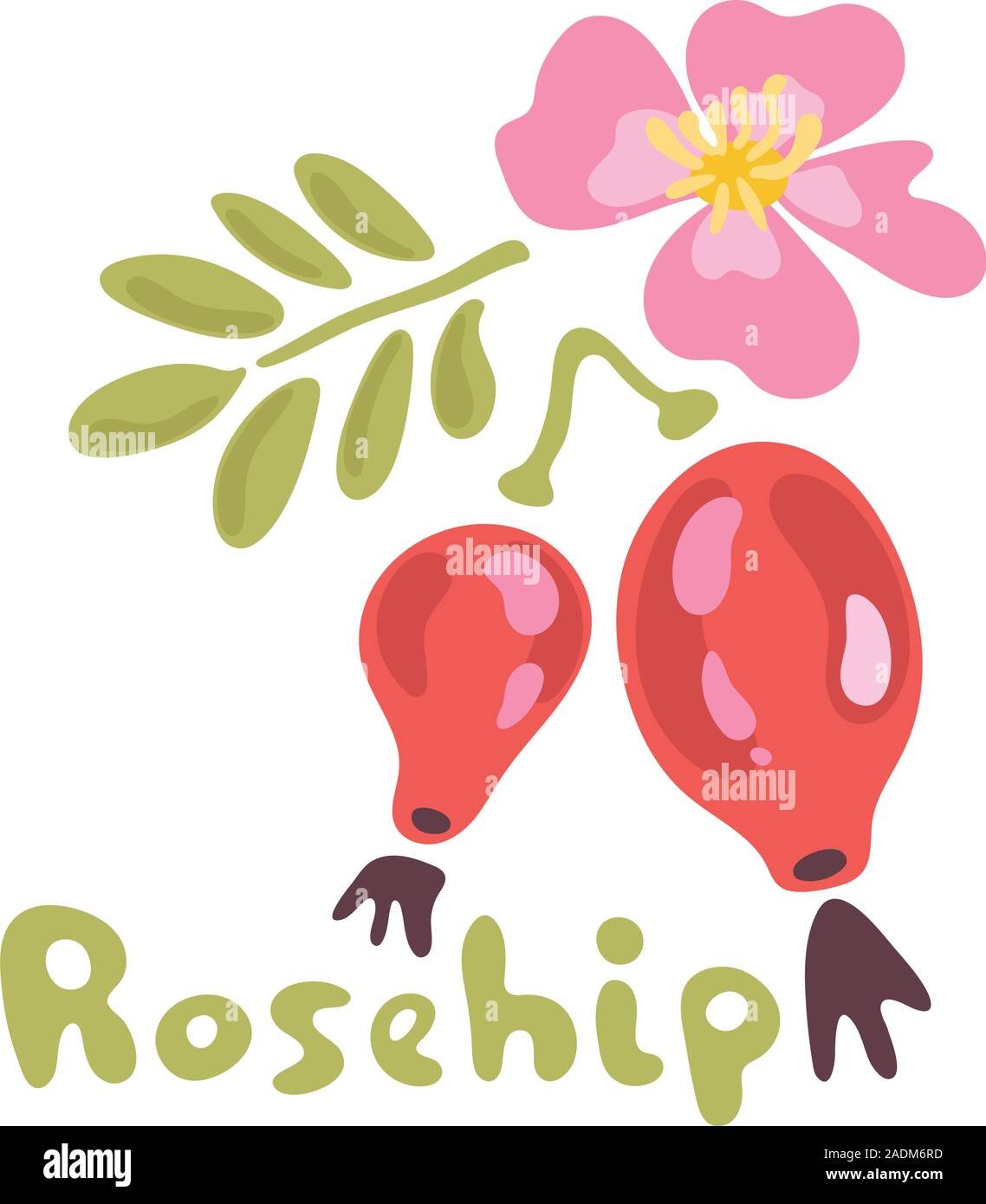 Vector rosehip branch with red berries and pink flower isolated on a ...